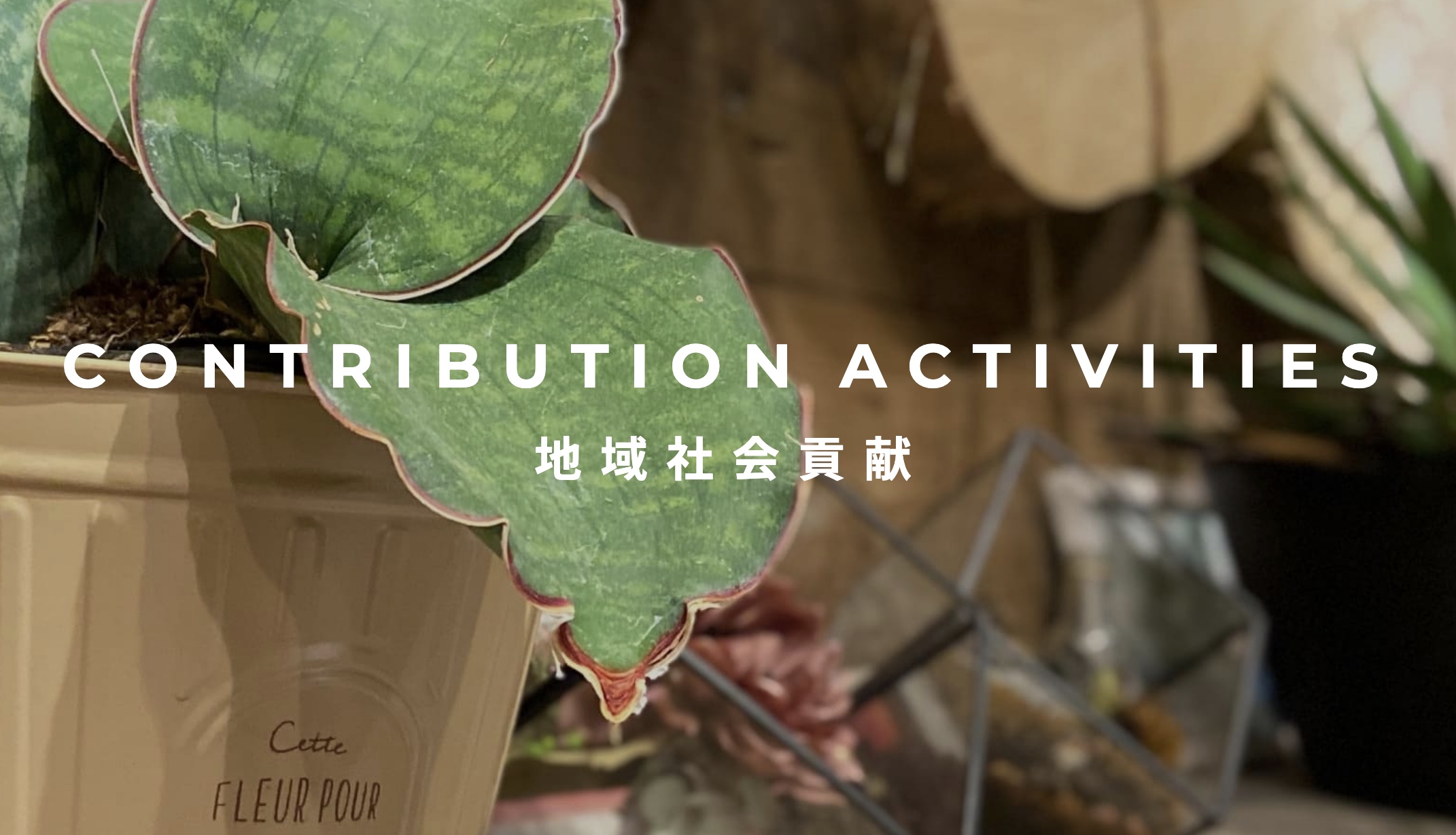 CONTRIBUTION ACTIVITIES - 滋賀県のホームページ制作ならファーストメイド